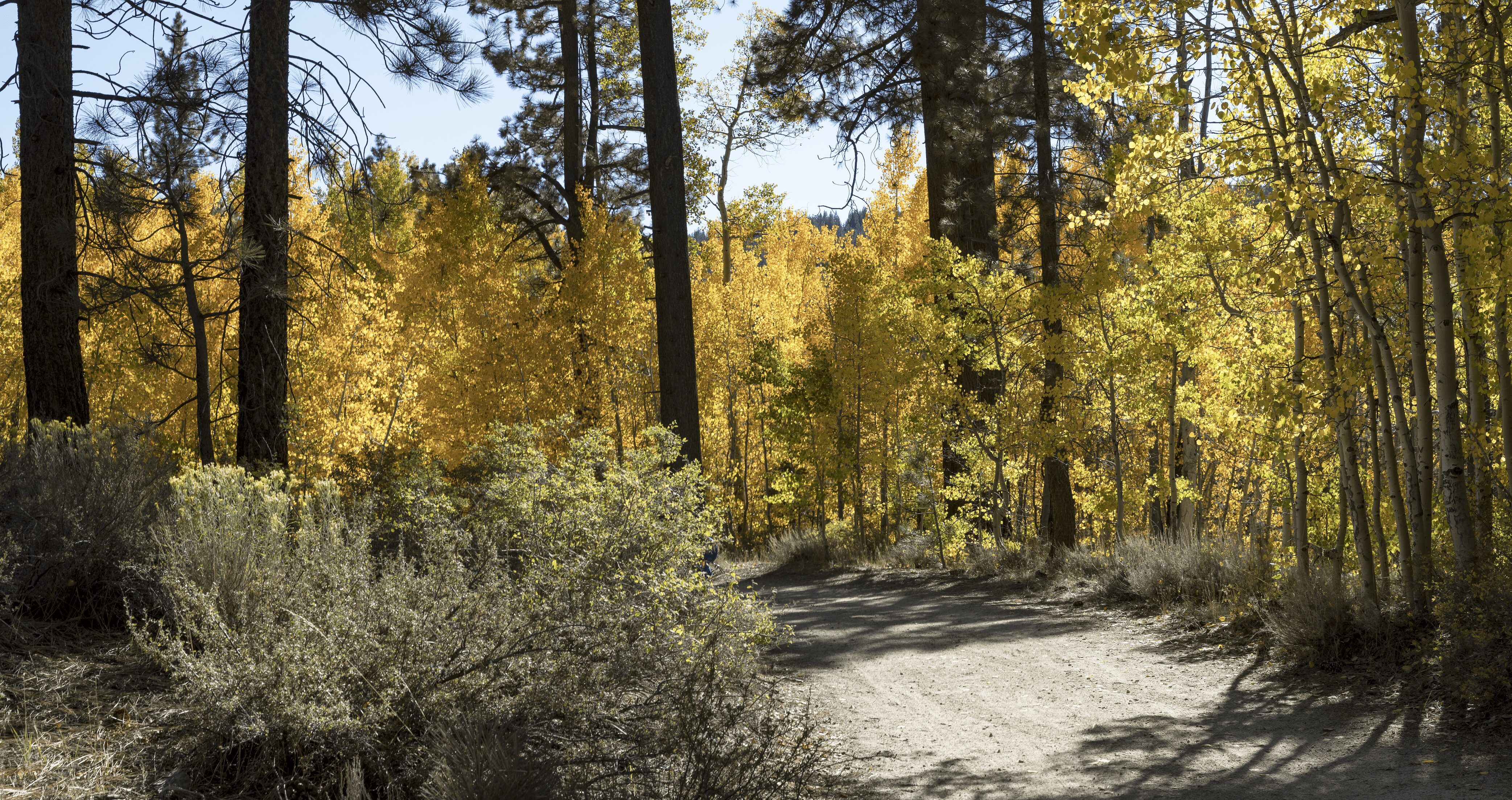 Spooner Lake State Park and Marlette Lake Near Peak | nevadafallcolor.com