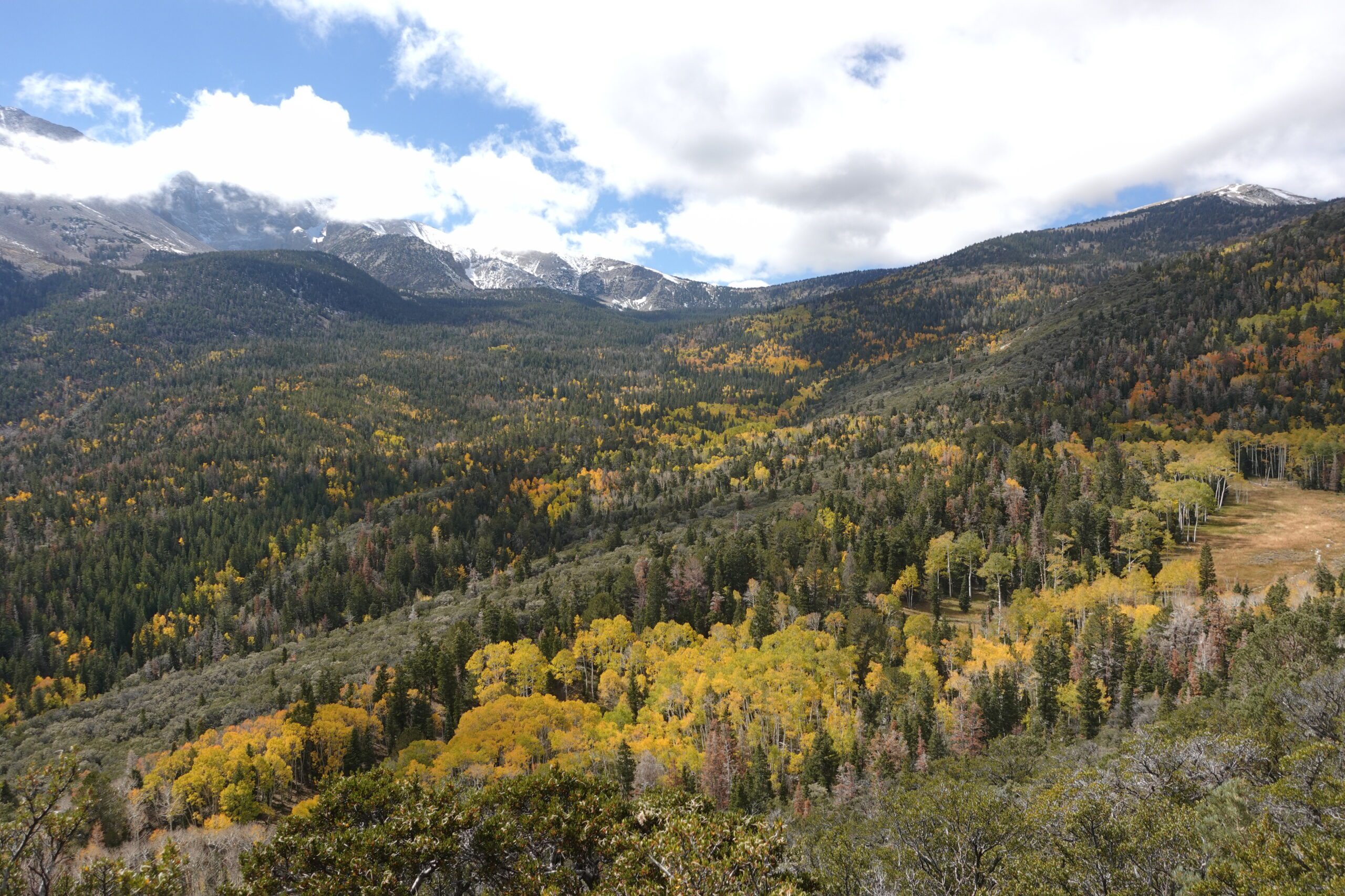 Fall Color Perfection at Mather Overlook | nevadafallcolor.com