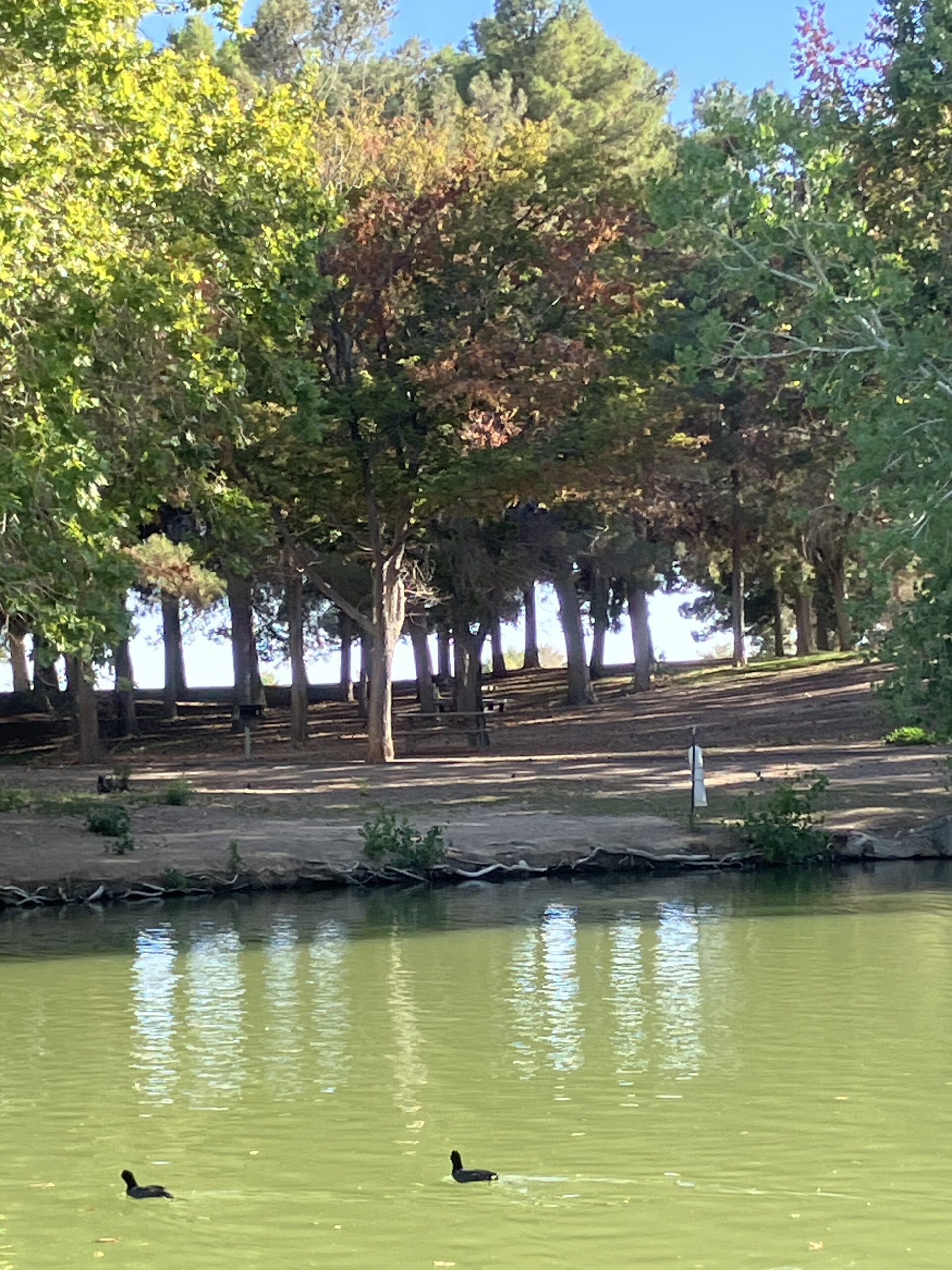 Las Vegas Fall Colors: Floyd Lamb Park Needs More Time ...