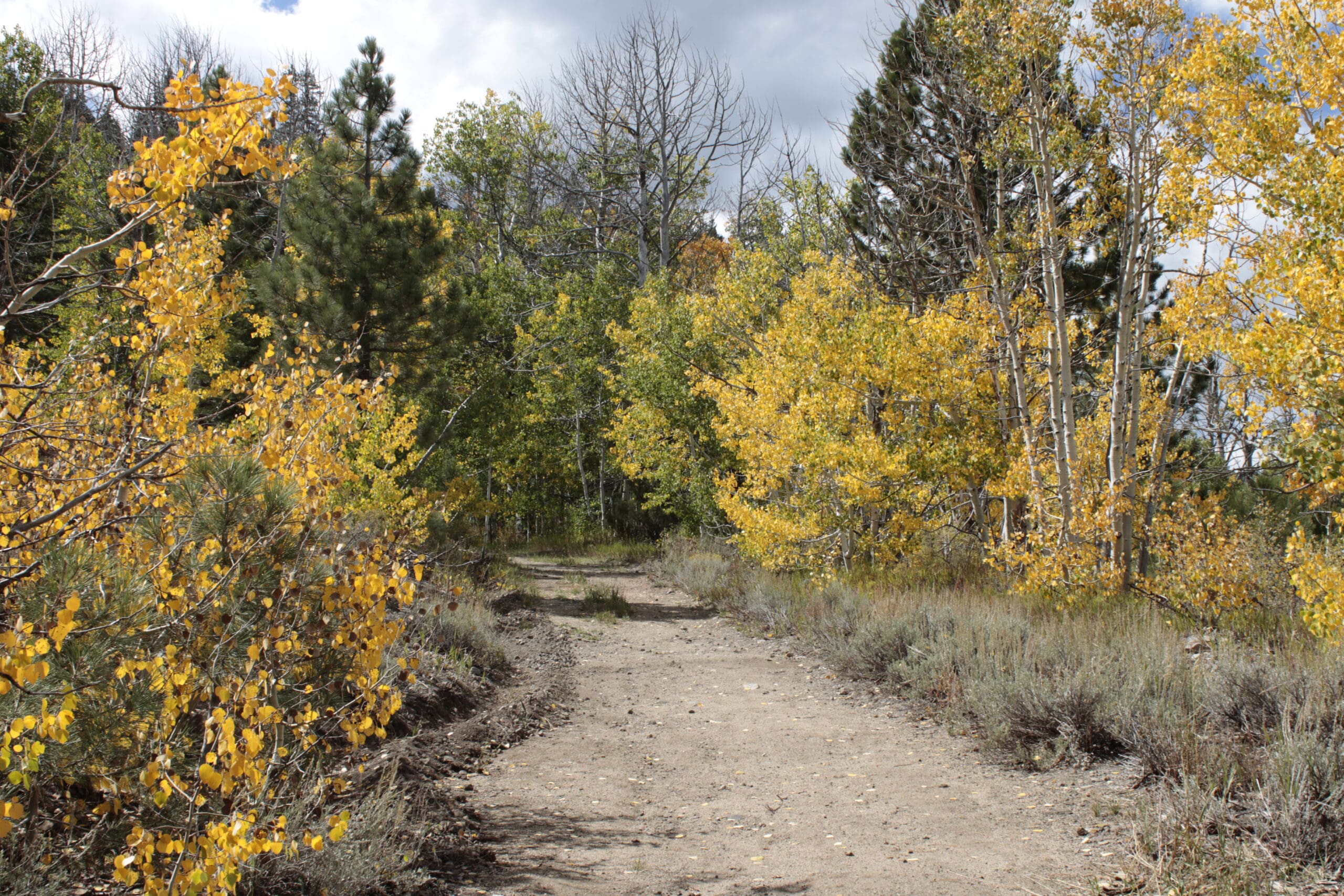 Hope Valley Fall Color—Off to a Pretty Start | nevadafallcolor.com