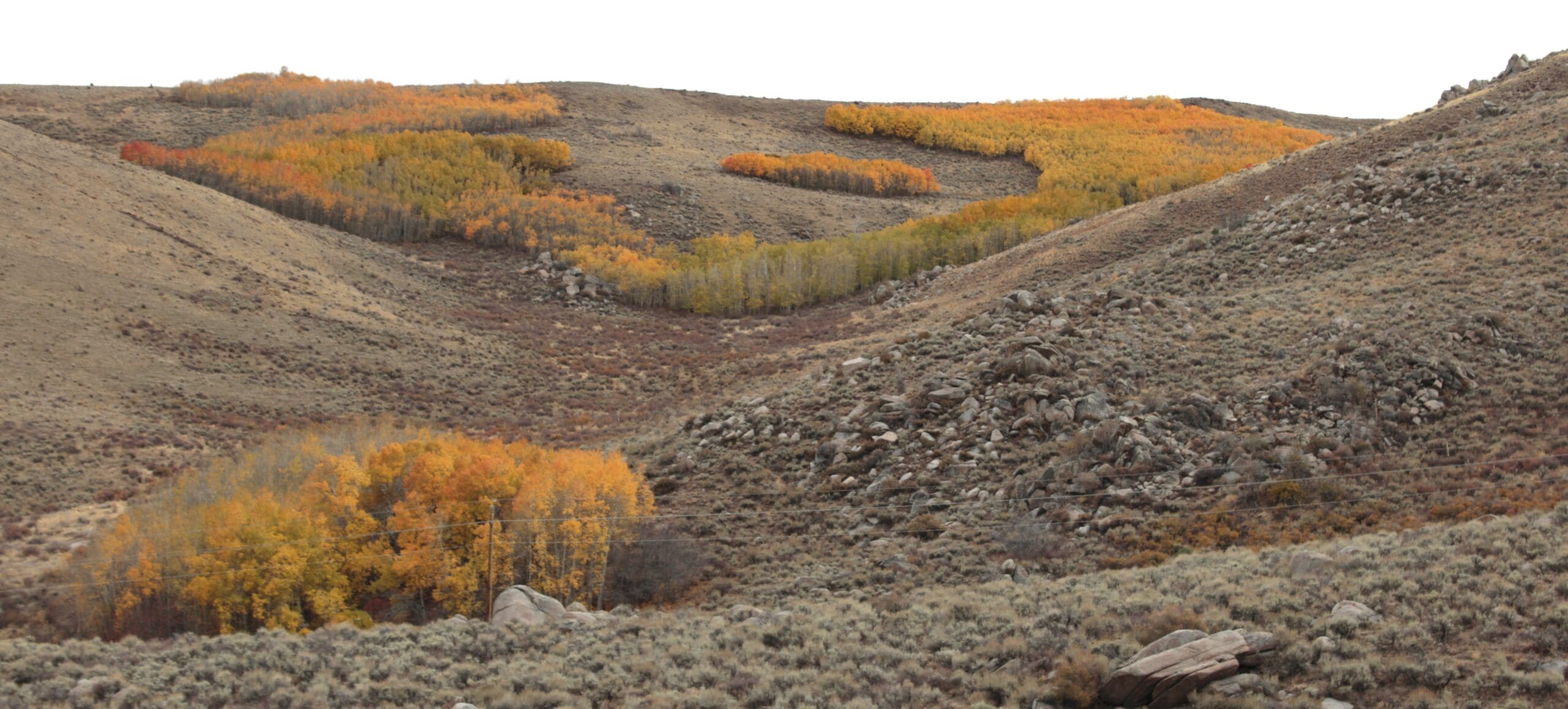 Austin Summit Fall Colors Still Going Strong | nevadafallcolor.com
