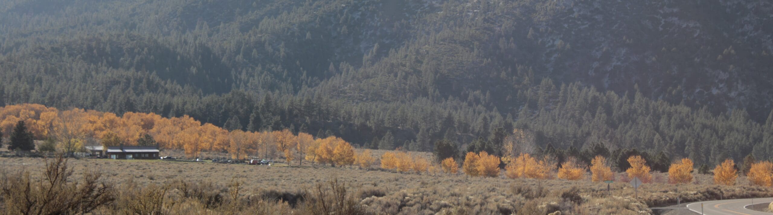 Fay Luther and Highway 206 Fall Color Happening Now | nevadafallcolor.com